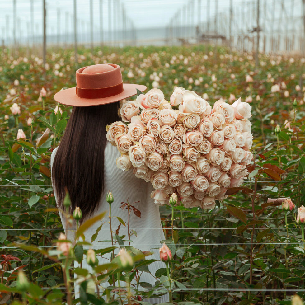 Home - Las Vegas Floral Wholesale
